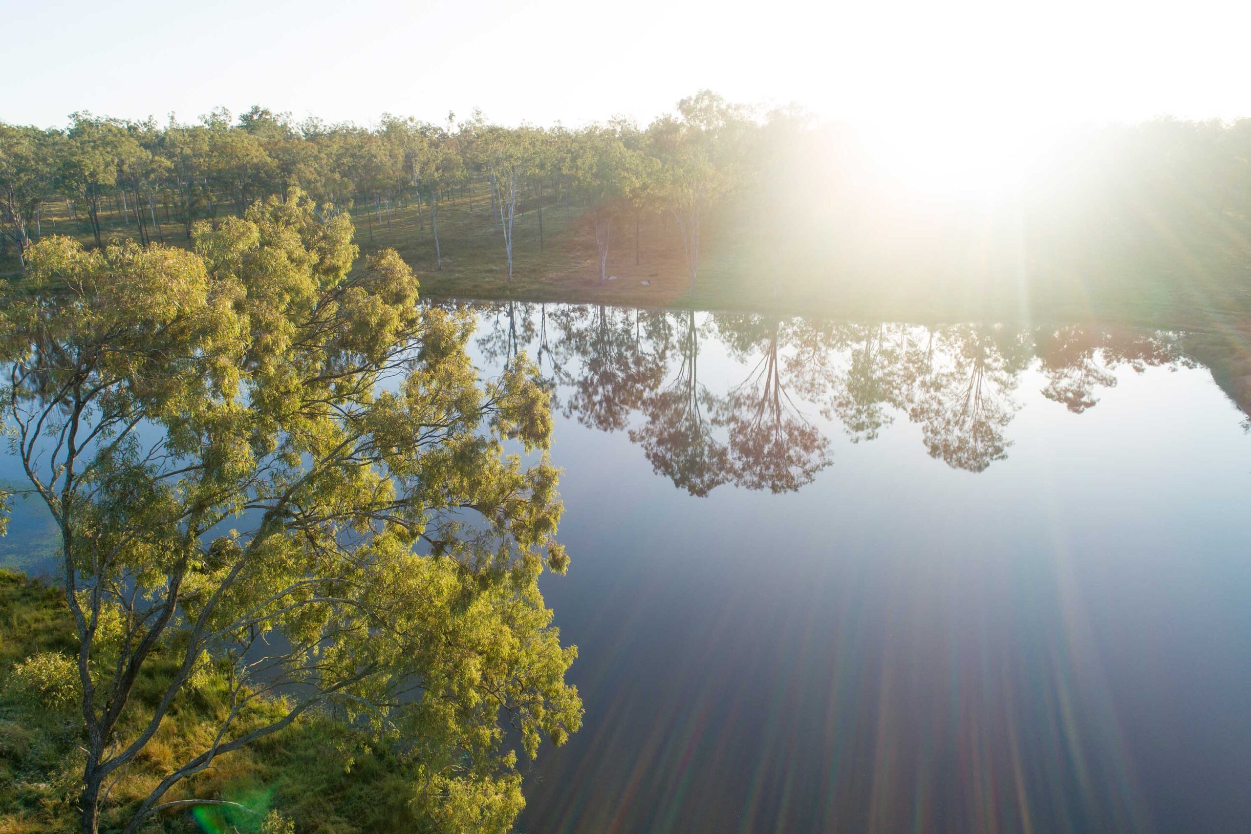 Discover the tranquil beauty of Park Lake - Park Lake Adare
